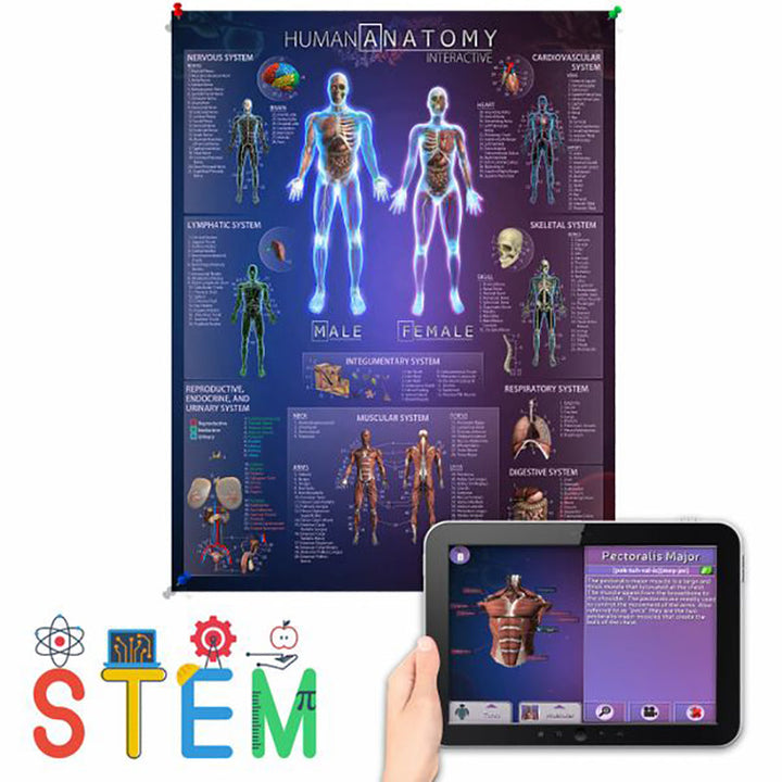Interactive Smart Chart Human Anatomy | Solar System – Batteries 4 Stores